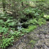 Mount Toby Trail, Massachusetts - 941 Reviews, Map | AllTrails