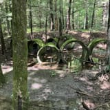 Mount Toby Trail, Massachusetts - 941 Reviews, Map | AllTrails