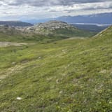 Kesugi Ridge (Curry Ridge) Trail, Alaska - 223 Reviews, Map | AllTrails