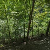 Moore Park Ravine Trail, Ontario, Canada - 982 Reviews, Map | AllTrails