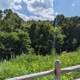 Moore Park Ravine Trail, Ontario, Canada - 982 Reviews, Map | AllTrails