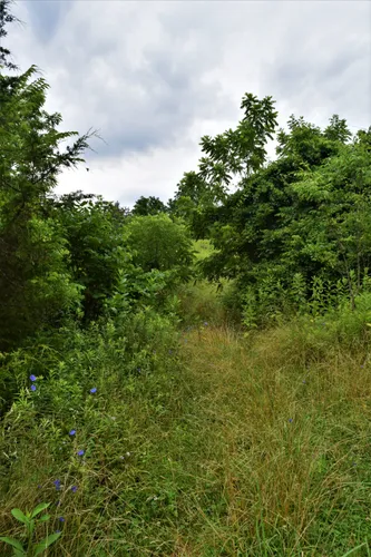 Best Hikes and Trails in Short Hills Wildlife Management Area | AllTrails