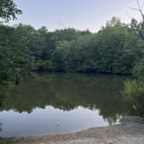 Deep Run Park Trails, Virginia - 1,295 Reviews, Map | AllTrails