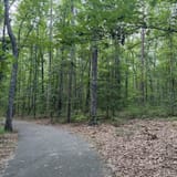 Deep Run Park Trails, Virginia - 1,295 Reviews, Map | AllTrails