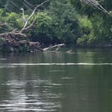 Turtle Creek Paddle Route, Wisconsin - 12 Reviews, Map | AllTrails