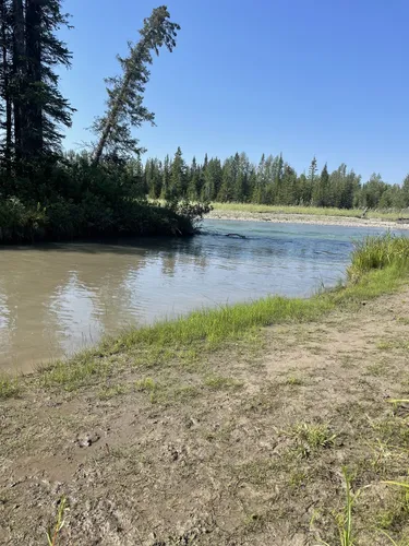 Best Hikes and Trails in Sundre Natural Area | AllTrails