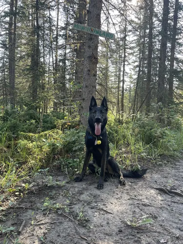 Best Hikes and Trails in Sundre Natural Area | AllTrails