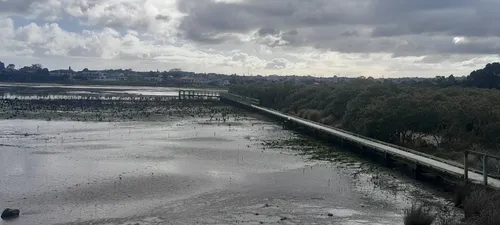 Best City Walk Trails in Takanini | AllTrails