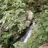 Three Ridges Trail, Virginia - 910 Reviews, Map | AllTrails