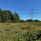 BPA Trail, Washington - 449 Reviews, Map | AllTrails