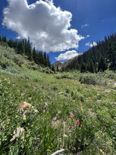 Best Hikes and Trails in Redcloud Peak Wilderness Study Area | AllTrails