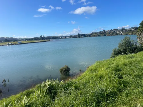 10 Best Trails and Hikes in Raglan | AllTrails