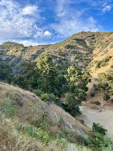 Best Hikes and Trails in Wattles Garden Park | AllTrails