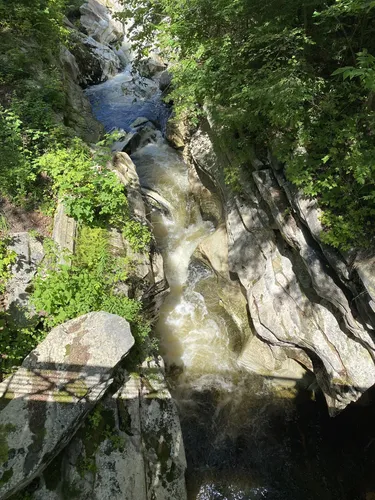 Best Hikes and Trails in Natural Bridge State Park | AllTrails