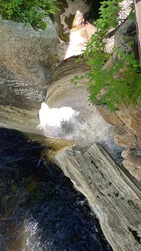 Best Hikes and Trails in Natural Bridge State Park | AllTrails