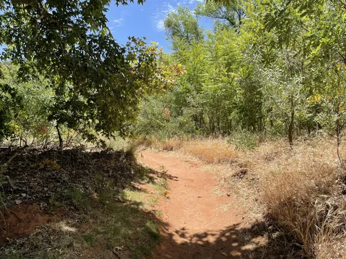 2023 Best Wheelchair Friendly Trails in Red Rock State Park | AllTrails