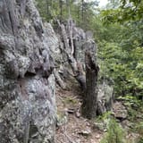 Crane Lake Trail, Missouri - 138 Reviews, Map | AllTrails