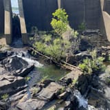 Crane Lake Trail, Missouri - 138 Reviews, Map | AllTrails