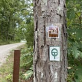 Crane Lake Trail, Missouri - 117 Reviews, Map | AllTrails