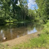 Crane Lake Trail, Missouri - 138 Reviews, Map | AllTrails