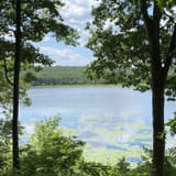 Crane Lake Trail, Missouri - 117 Reviews, Map | AllTrails