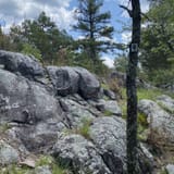 Crane Lake Trail, Missouri - 117 Reviews, Map | AllTrails