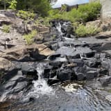 Crane Lake Trail, Missouri - 138 Reviews, Map | AllTrails