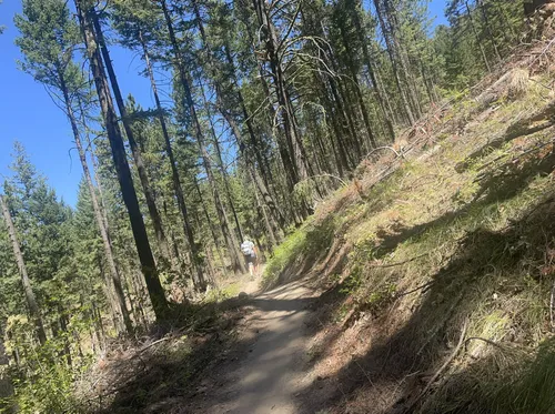 Best Hikes and Trails in Squilchuck State Park | AllTrails
