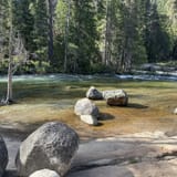 Mono Meadow Trail, California - 90 Reviews, Map | AllTrails
