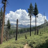Mono Meadow Trail, California - 90 Reviews, Map | AllTrails