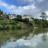 Orakei Basin Walkway, Auckland, New Zealand - 360 Reviews, Map | AllTrails