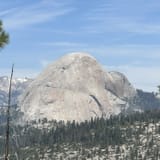 Mono Meadow Trail, California - 93 Reviews, Map | AllTrails