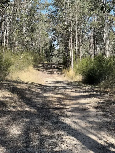Best Hikes and Trails in Mulgoa Nature Reserve | AllTrails