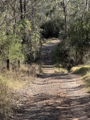 Best Hikes and Trails in Mulgoa Nature Reserve | AllTrails