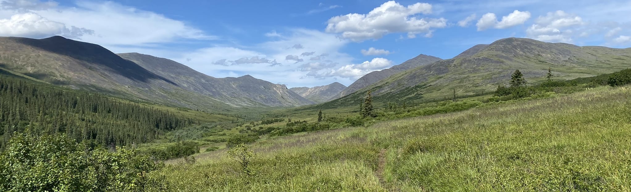 Prindle Campground Trail, Alaska - 32 Reviews, Map | AllTrails
