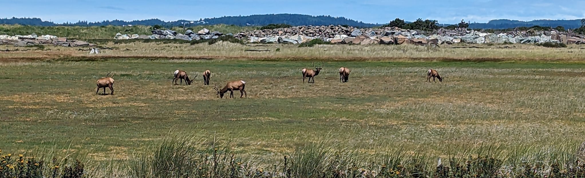 South Jetty Observation Tower [CLOSED], Oregon - 14 Reviews, Map ...