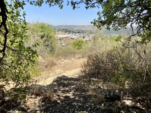 2023 Best 10 Long Trails in Har Meron Nature Reserve | AllTrails