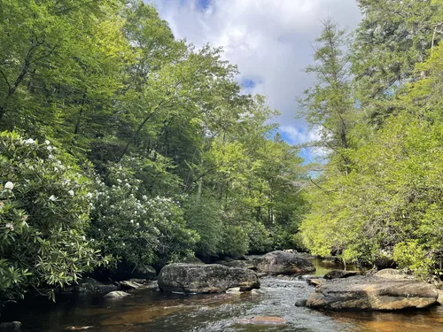2023 Best River Trails in Elkins | AllTrails