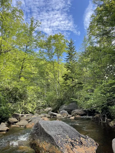 2023 Best River Trails in Elkins | AllTrails