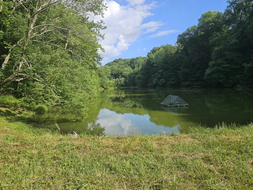 Best Moderate Trails in Morgan Monroe State Forest | AllTrails