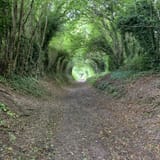 Halnaker Circular, West Sussex, England - 257 Reviews, Map | AllTrails