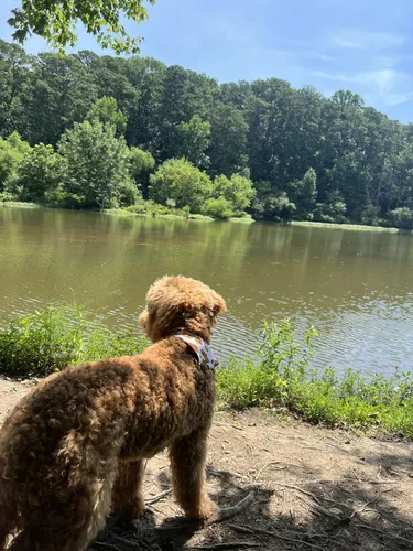 Best Hikes and Trails in Murphy Candler Park | AllTrails