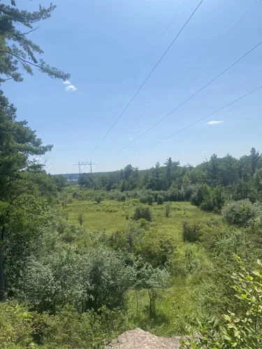 2023 Best Trails, Walks, and Paths in Fitzroy Harbour | AllTrails