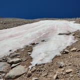 Boundary Peak Trail, Nevada - 198 Reviews, Map | AllTrails