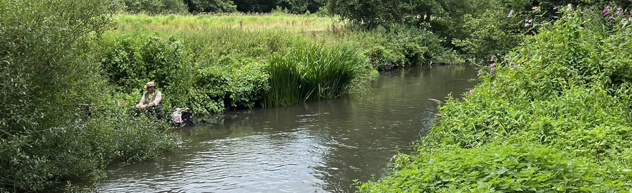 The Fox Way, Surrey, England - 10 Reviews, Map | AllTrails