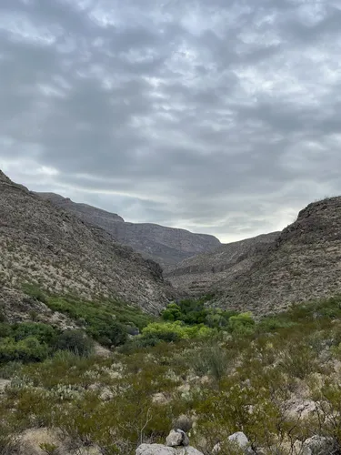 Best Hikes and Trails in Oliver Lee Memorial State Park | AllTrails