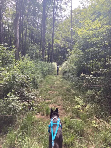 Best Hikes and Trails in Groton Park | AllTrails