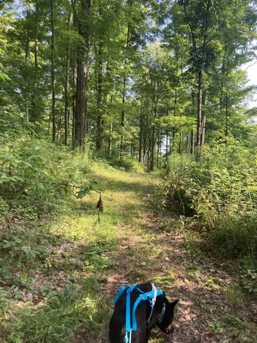 Best Hikes and Trails in Groton Park | AllTrails