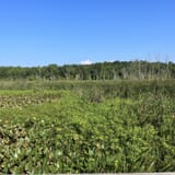 Lake Conestee Nature Park Loop, South Carolina - 1,224 Reviews, Map ...