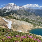 Tatoosh Ridge Trail, Washington - 342 Reviews, Map | AllTrails